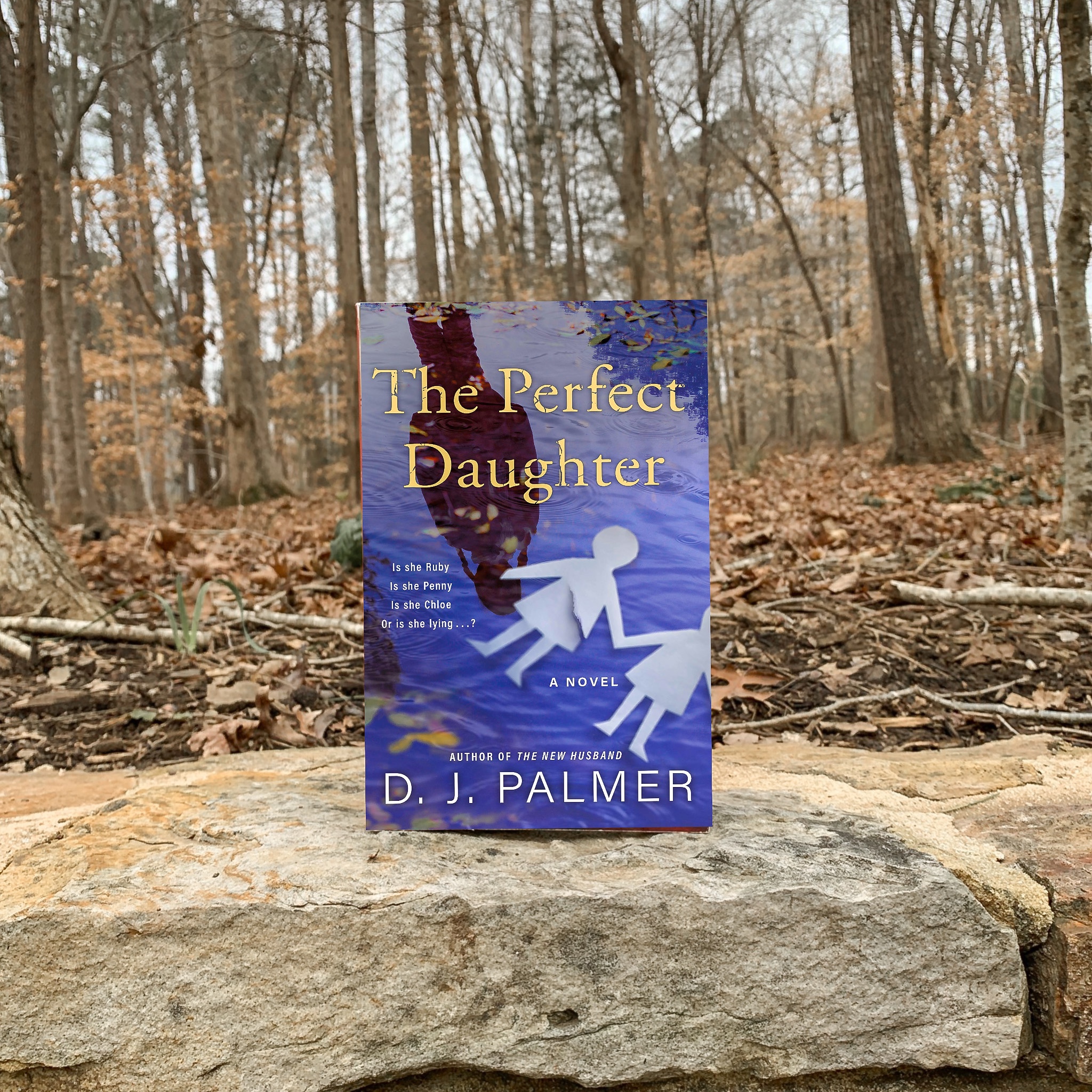 The Perfect Daughter – Erin Evelyn Reads