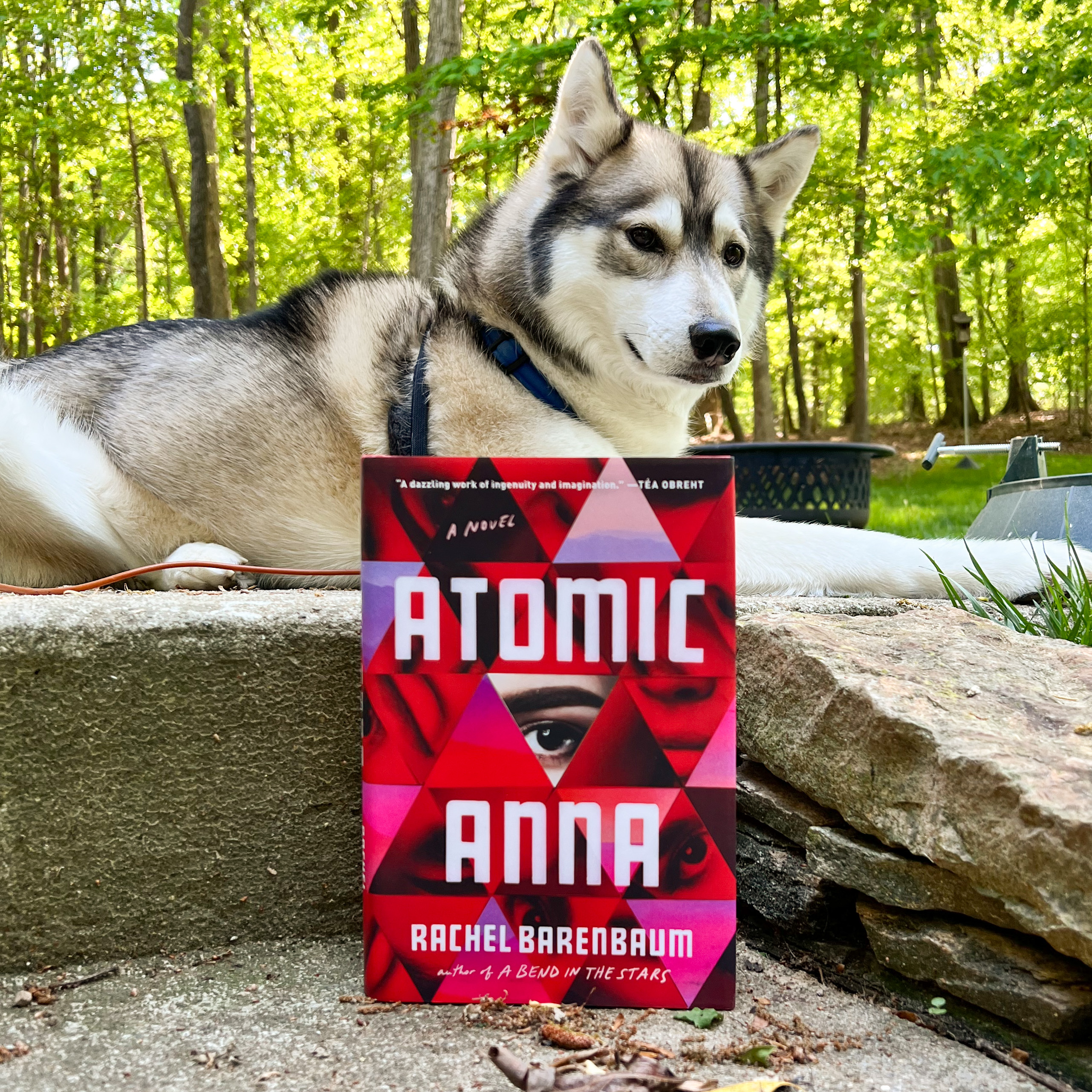Atomic Anna – Erin Evelyn Reads